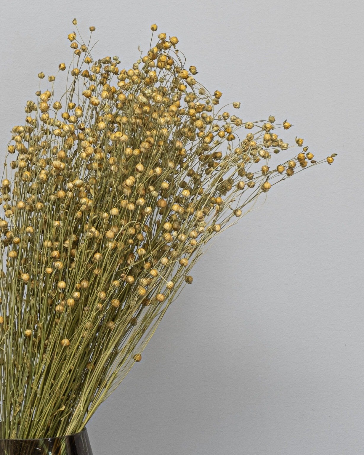 Unika och Hållbara Torkade Blommor | Foreverflora