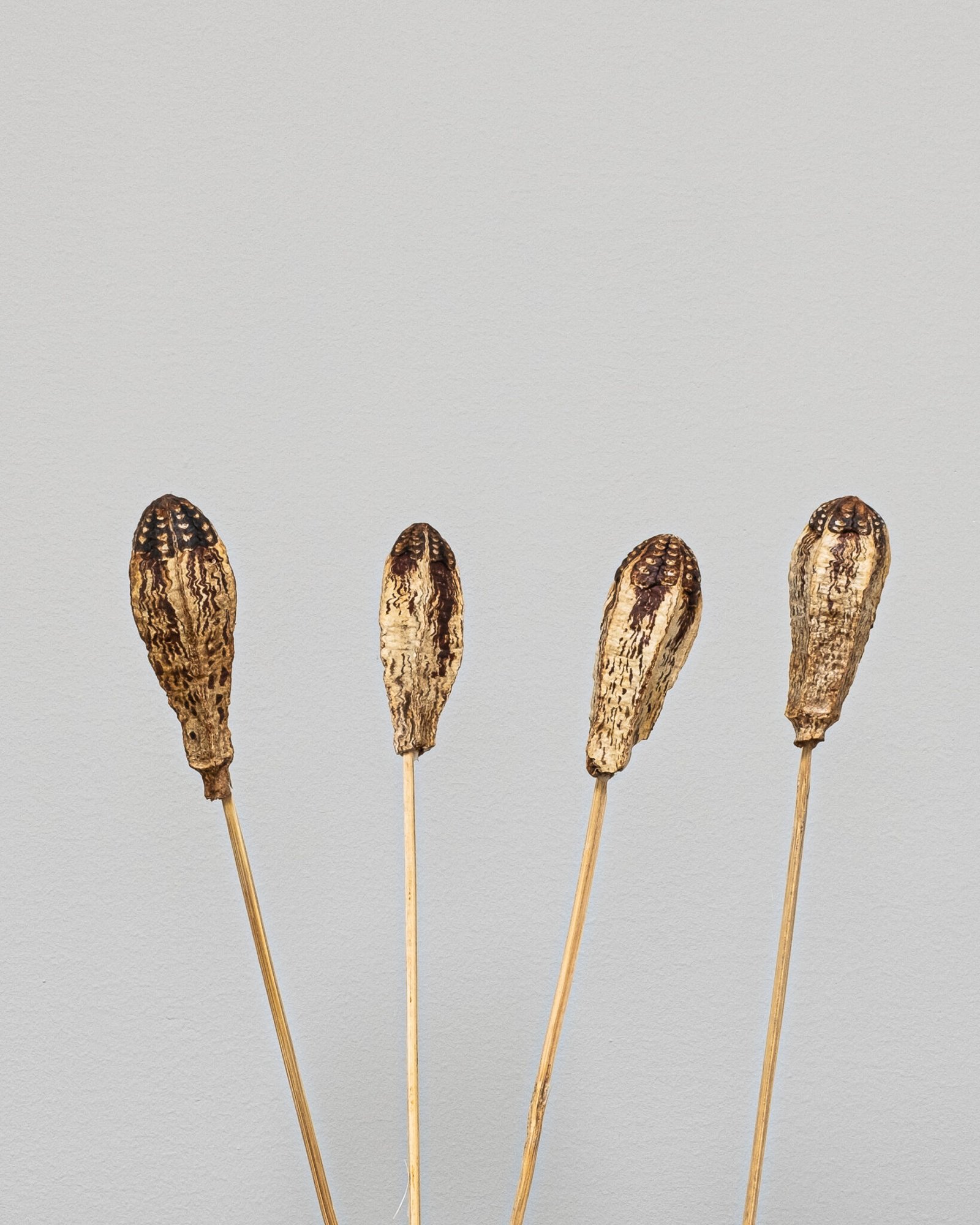 Unika och Hållbara Torkade Blommor | Foreverflora