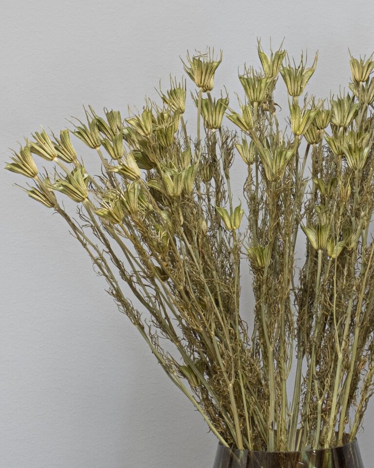 Unika och Hållbara Torkade Blommor | Foreverflora