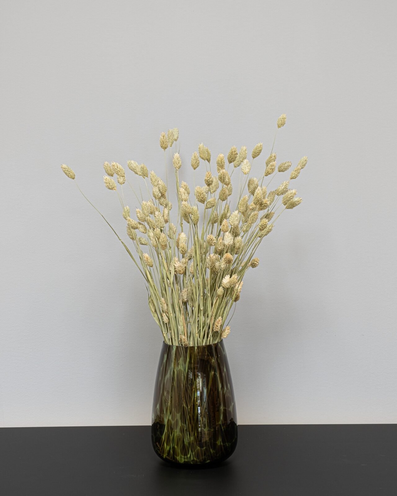 Phalaris - Torkade blommor | Forever Flora
