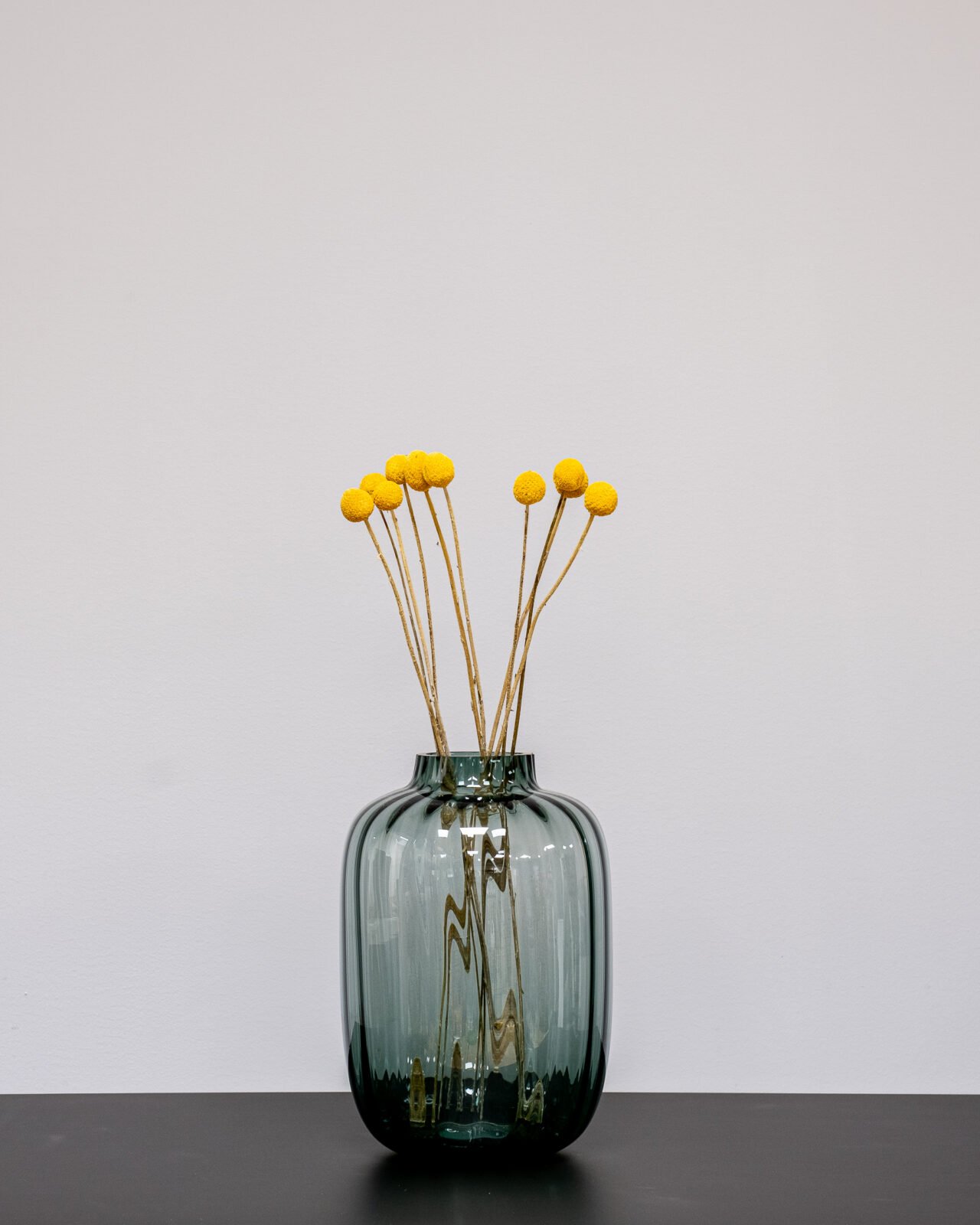 Craspedia/Solboll 10 st.- Torkade Blommor | Forever Flora