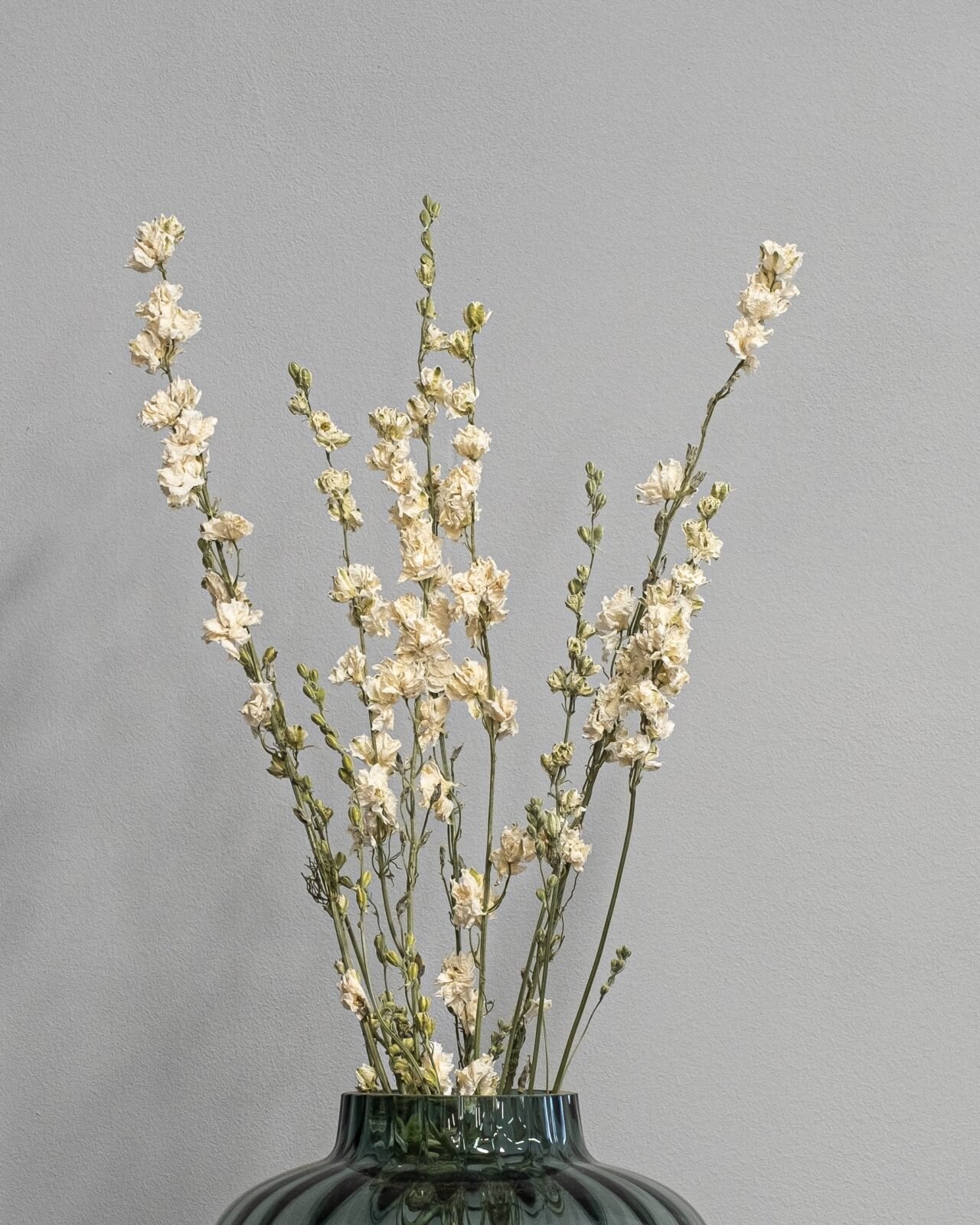 Unika och Hållbara Torkade Blommor | Foreverflora